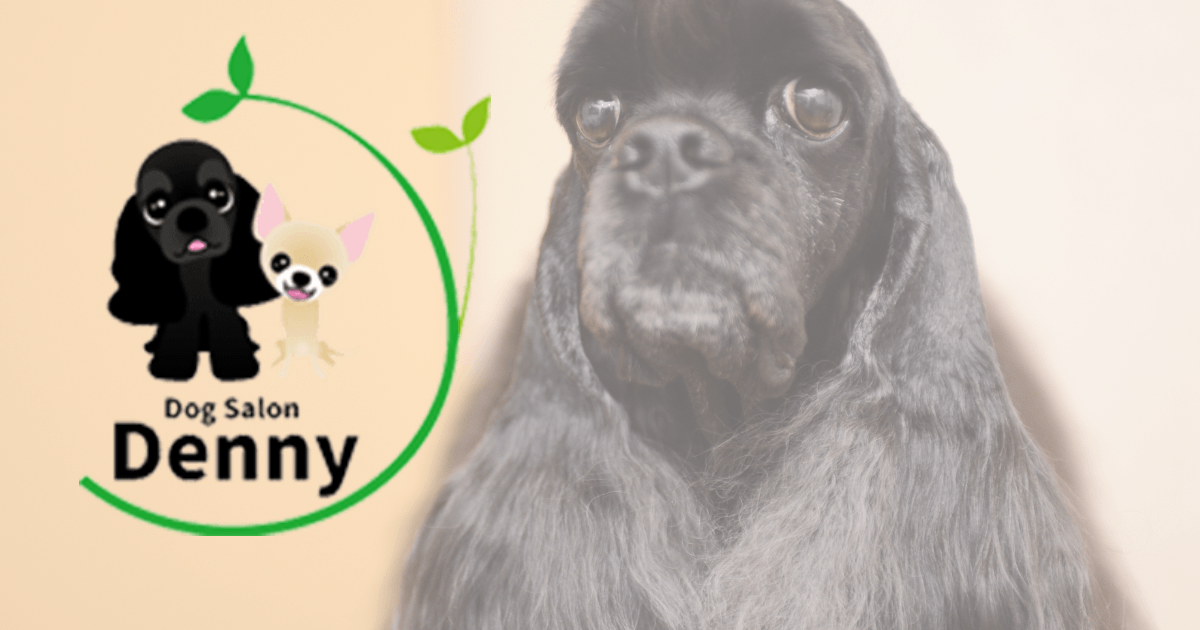Dog Salon Denny【公式】